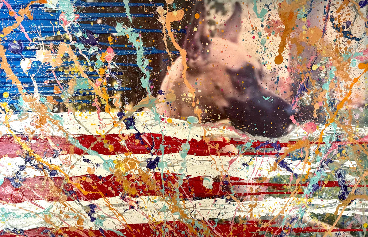 THROWING PAINT – BOBBIE LIGHT